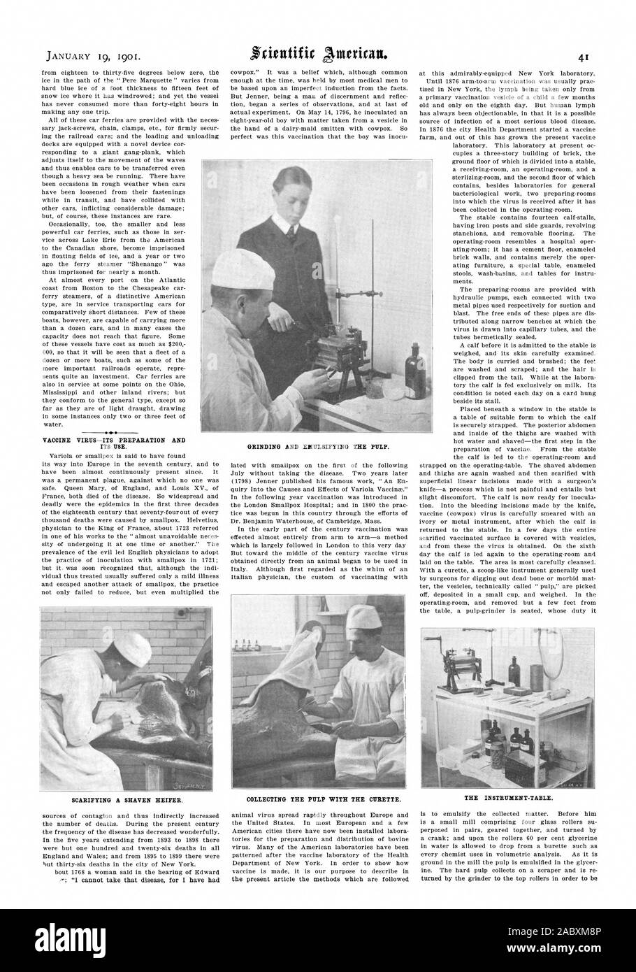 Virus trends Cut Out Stock Images & Pictures - Alamy