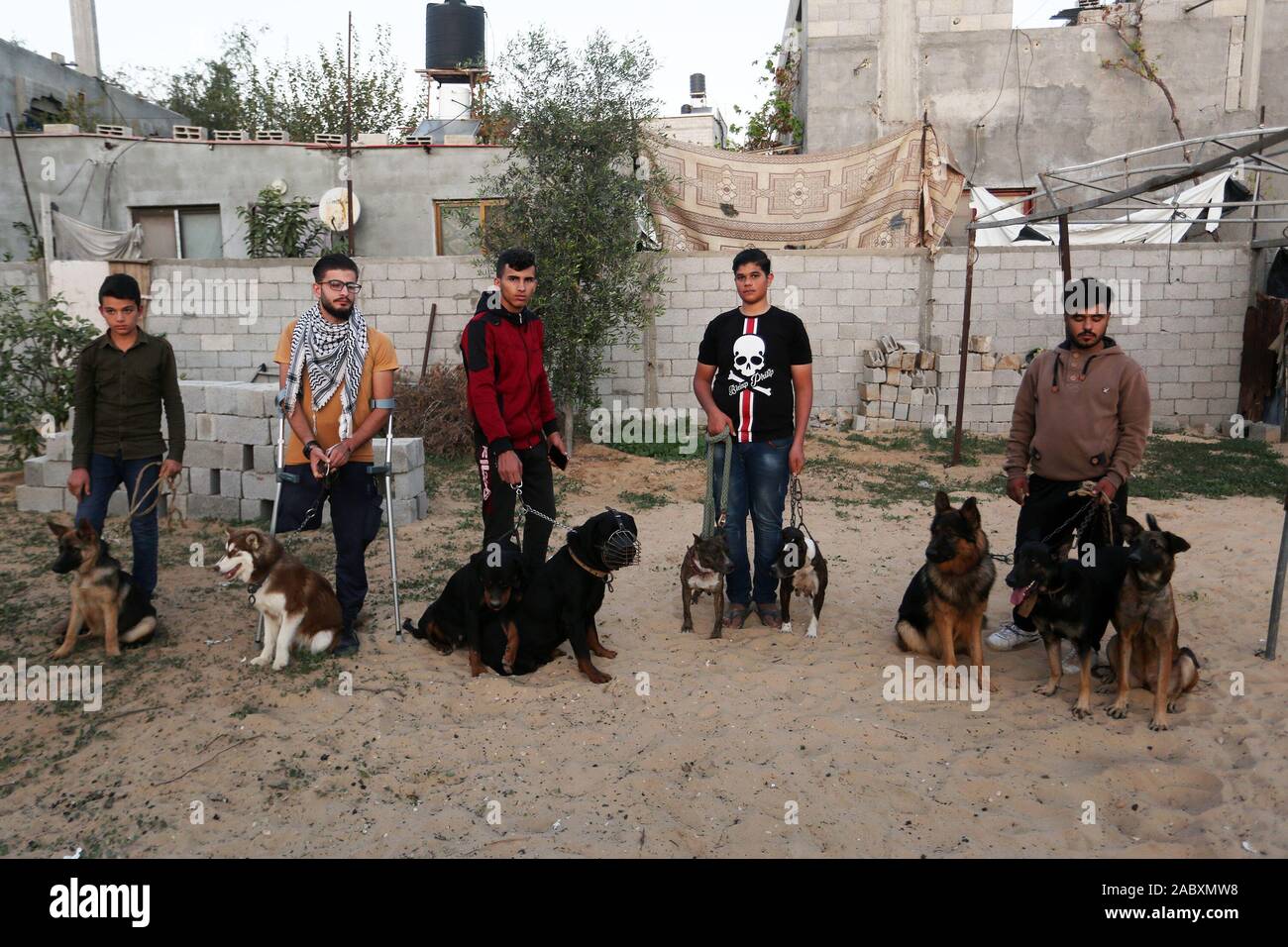 Palestinian train dogs a the yard in the southern Gaza Strip, on Nov 28 ...