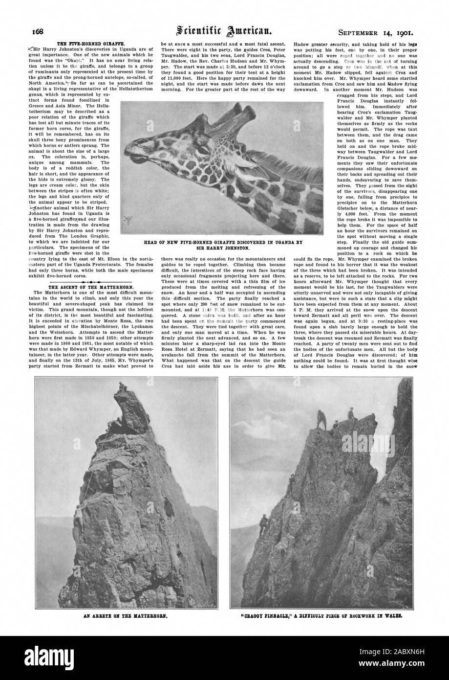 THE FIVE-HORNED GIRAFFE. THE ASCENT OF THE MATTERHORN. HEAD OF NEW FIVE ...
