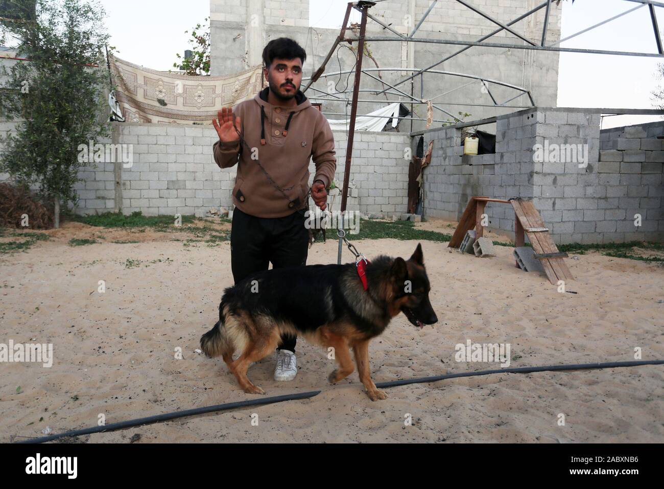 Palestinian train dogs a the yard in the southern Gaza Strip, on Nov 28 ...