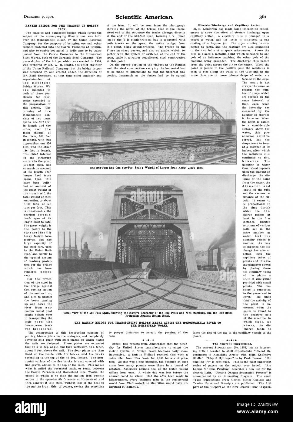 Capillary action hi-res stock photography and images - Alamy