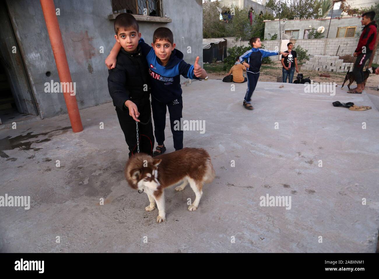 Palestinian train dogs a the yard in the southern Gaza Strip, on Nov 28 ...