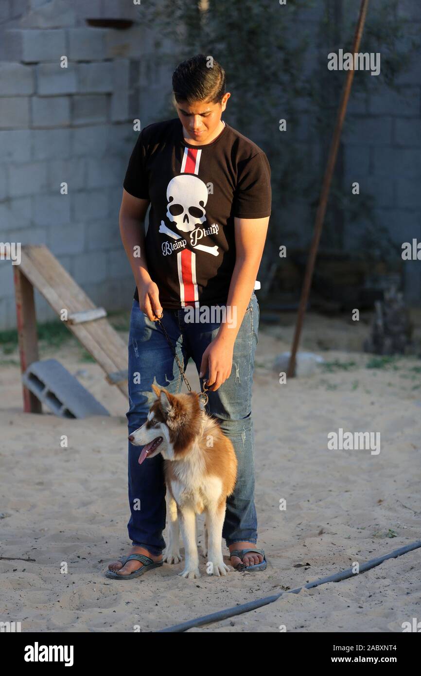 Palestinian train dogs a the yard in the southern Gaza Strip, on Nov 28 ...