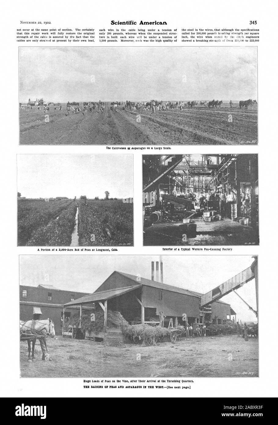 Typical western pea canning factory huge loads hi-res stock photography ...