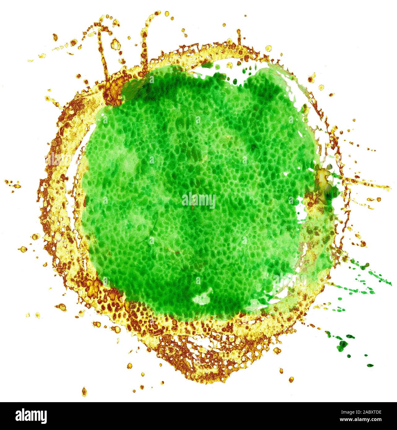 Gold paint circle hi-res stock photography and images - Alamy