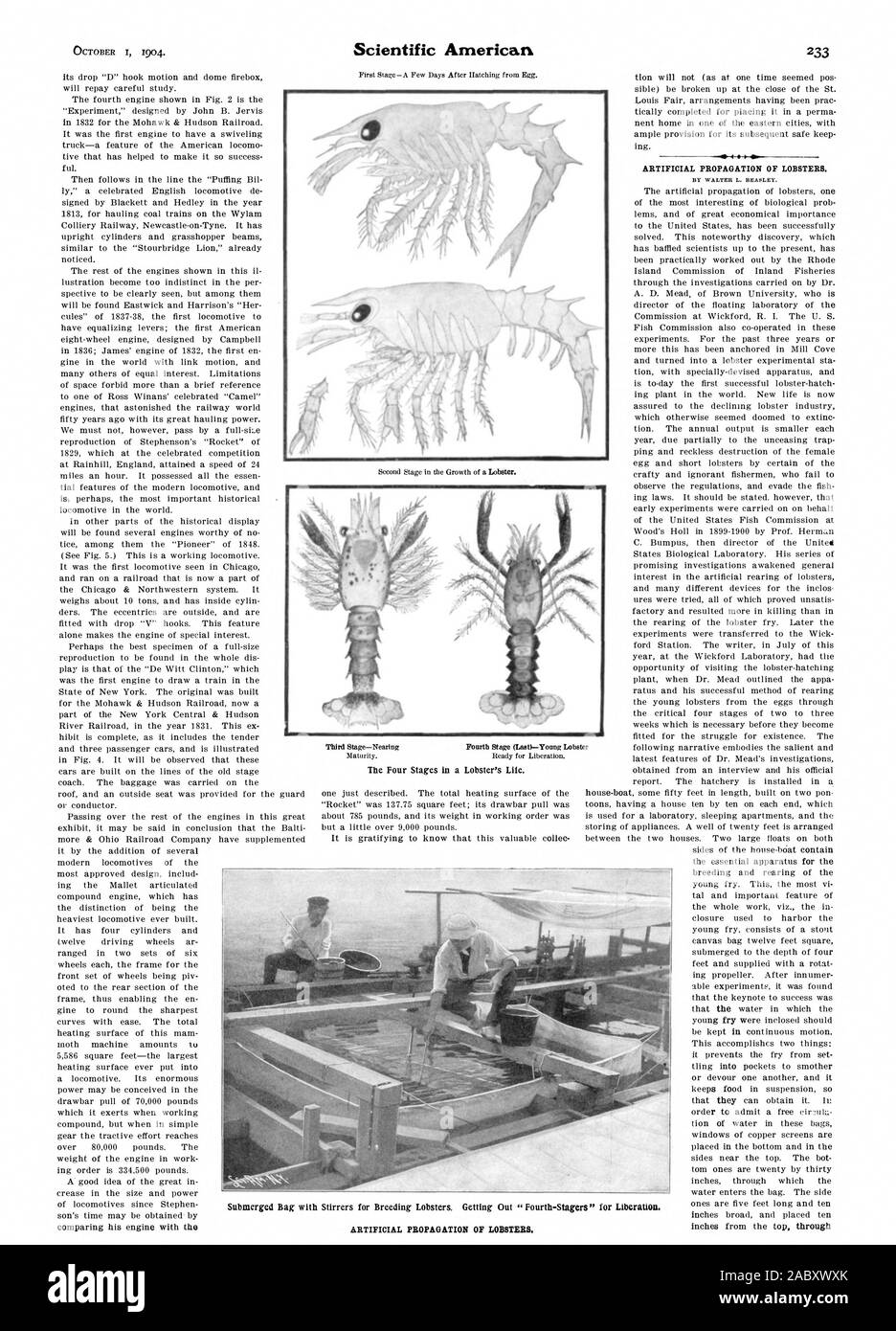 ARTIFICIAL PROPAGATION OF LOBSTERS. BY WALTER L. BEASLEY. The Four ...