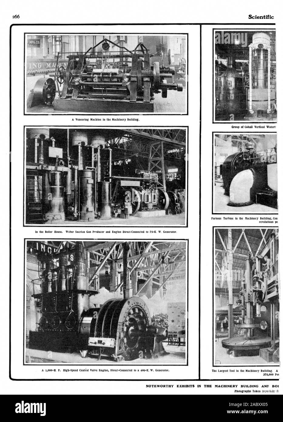 Boi photographs hi-res stock photography and images - Alamy