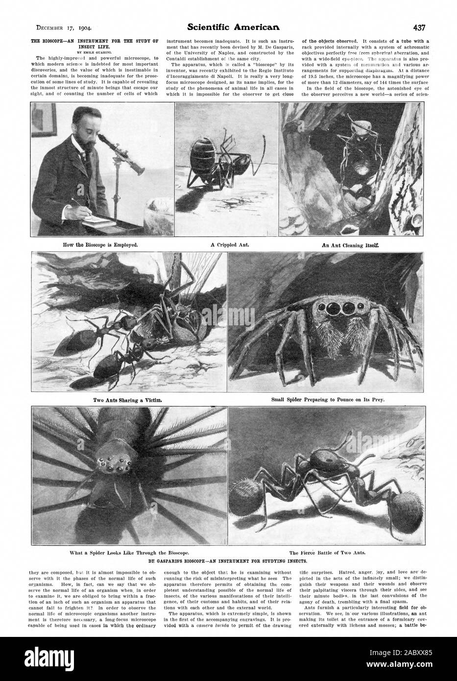 THE BIOSCOPE—AN INSTRUMENT FOR THE STUDY OF INSECT LIFE. What a Spider ...