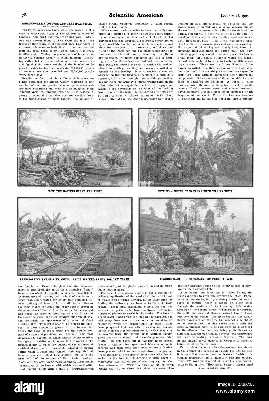 Train transporting fruit Cut Out Stock Images & Pictures - Alamy