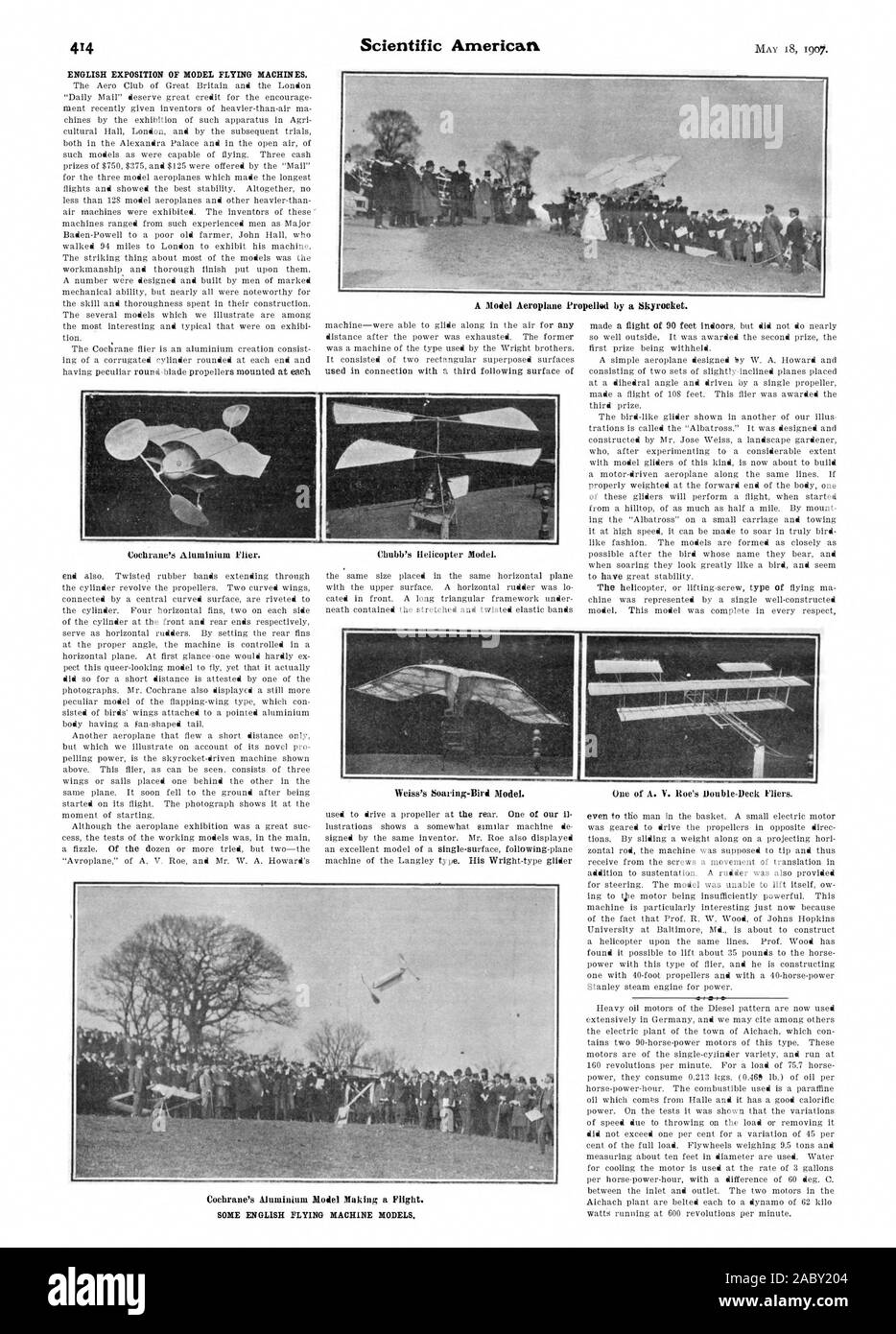 Weiss soaring bird model Cut Out Stock Images & Pictures - Alamy