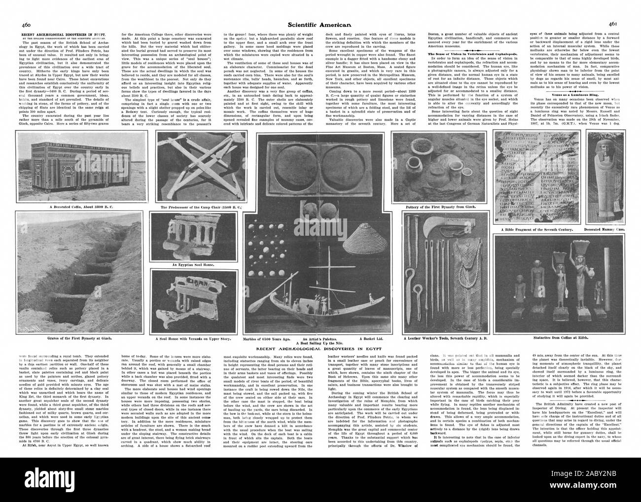 The Sense of Vision in Vertebrates and Cephalopods. Venus as a Luminous ...