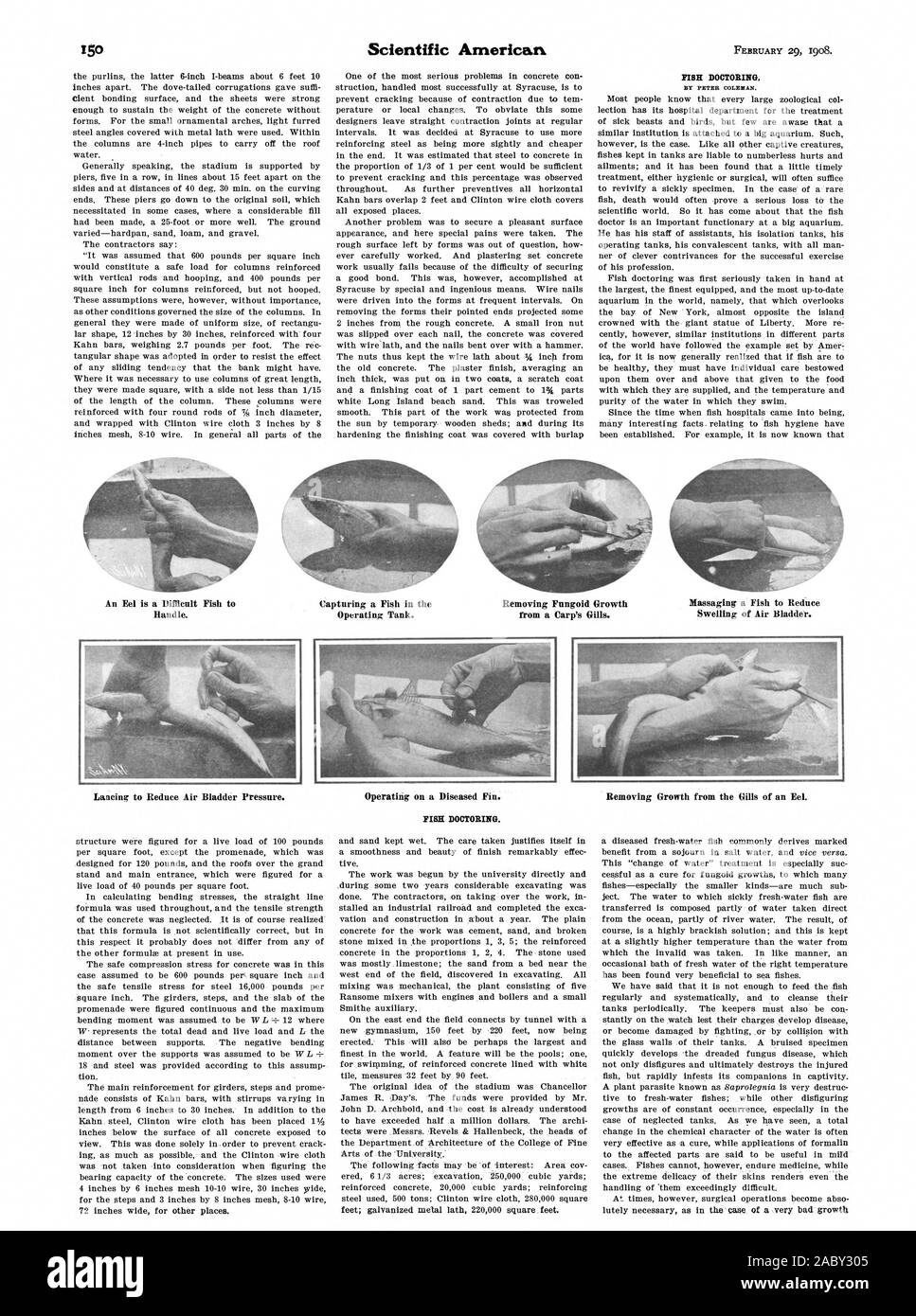 American coleman Cut Out Stock Images & Pictures - Alamy