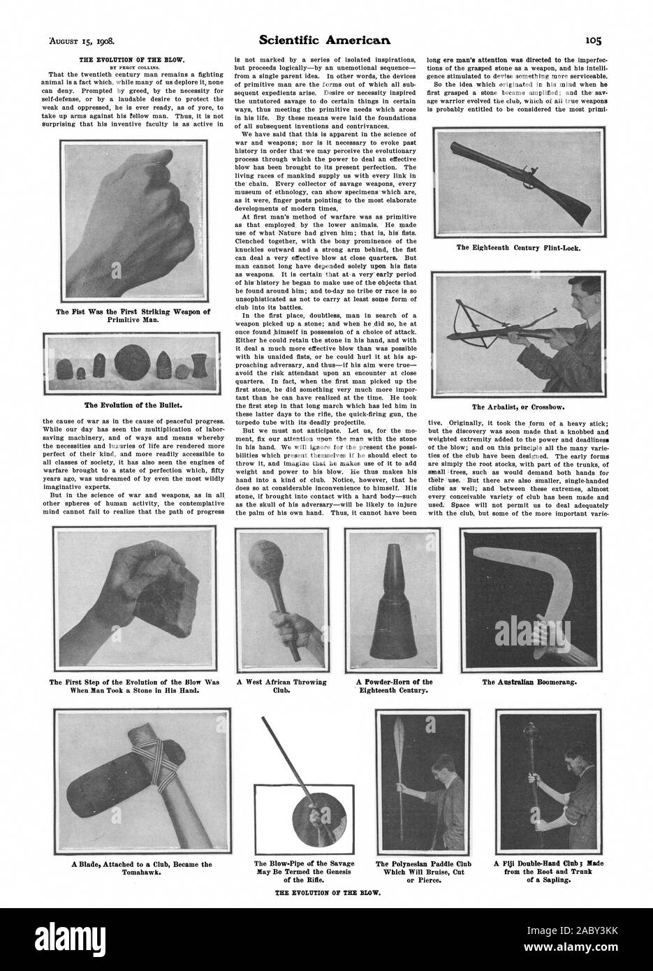 The Fist Was the First Striking Weapon of Primitive Man. The Evolution ...