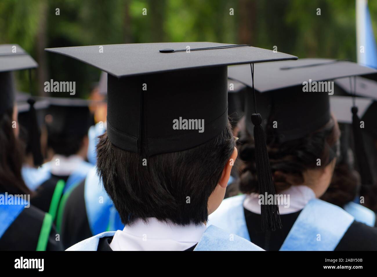 Rear view of group of university graduates in black gowns lines up for ...