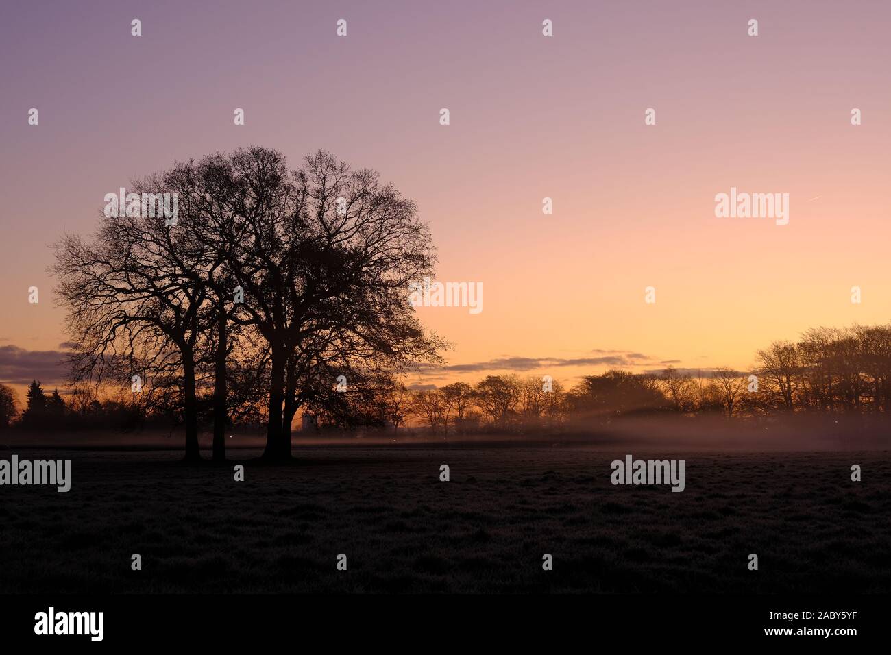Ashton Frost High Resolution Stock Photography and Images - Alamy