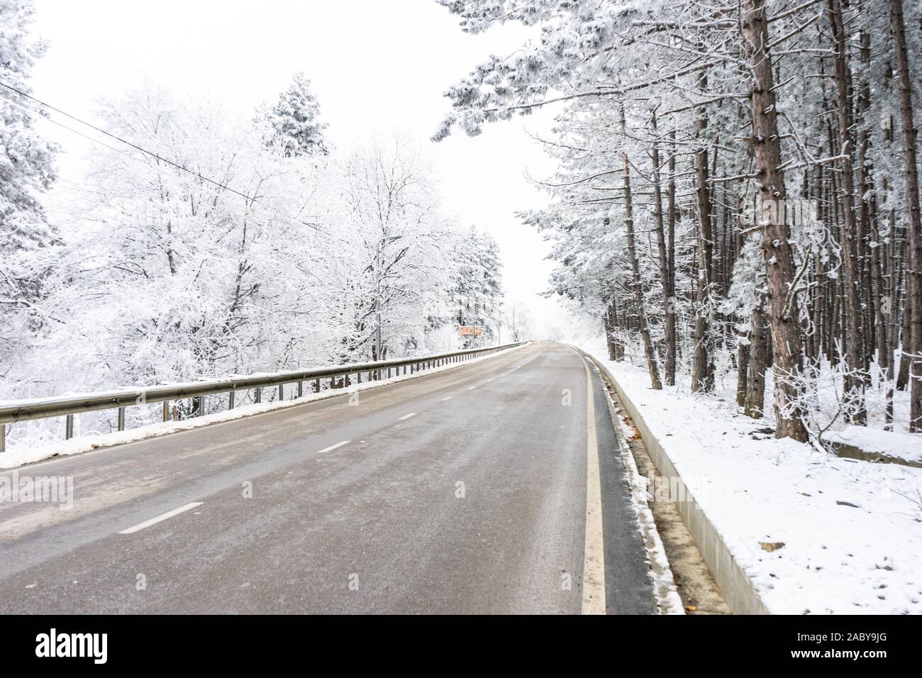Winter snowy landscape in Tbilisi's suburb Tskneti with pine trees ...