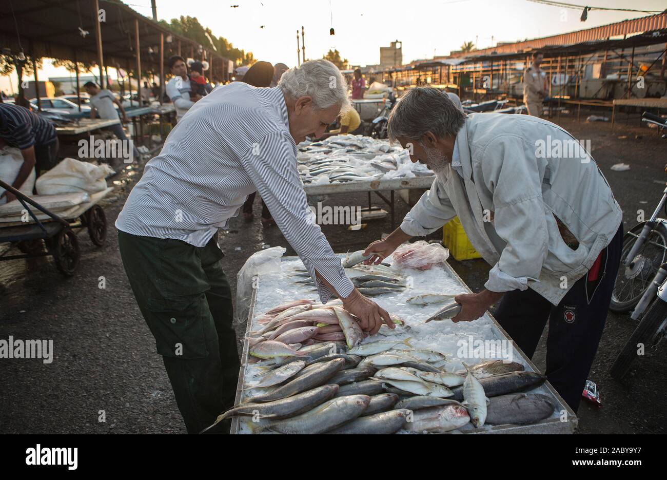 Tehran, Iran. 28th Nov, 2019. People work at the central fish market in ...