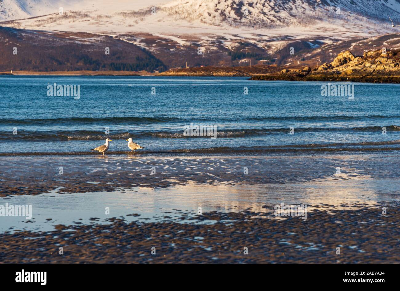 sunset over sandvika beach in Tromso region during a spring afternoon ...