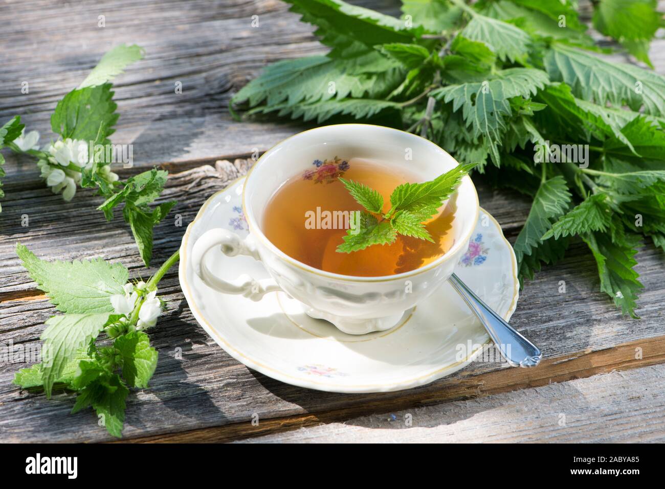 Fresh nettles hi-res stock photography and images - Alamy