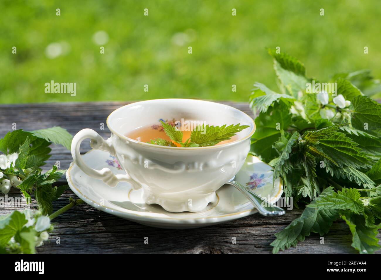 Nettle tea hi-res stock photography and images - Alamy