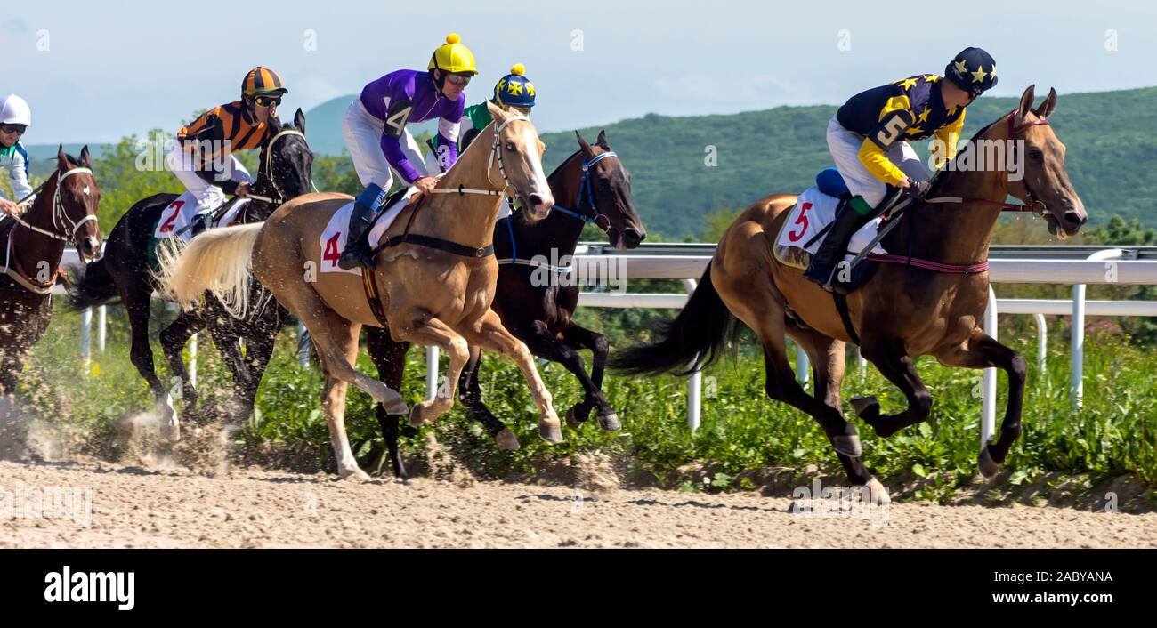 Russian racehorse hi-res stock photography and images - Alamy
