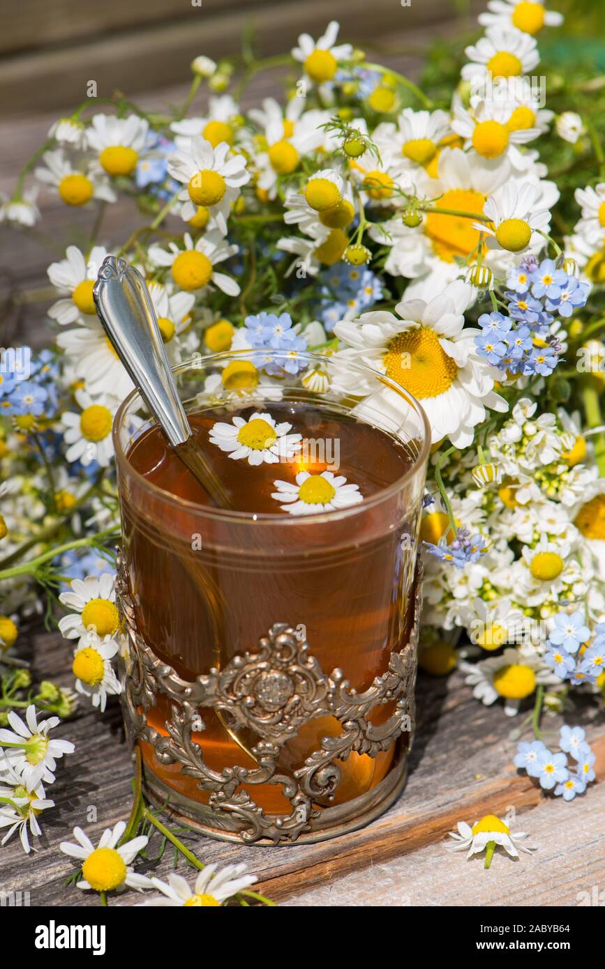 Chamomile flower tea with fresh chamomile Stock Photo - Alamy