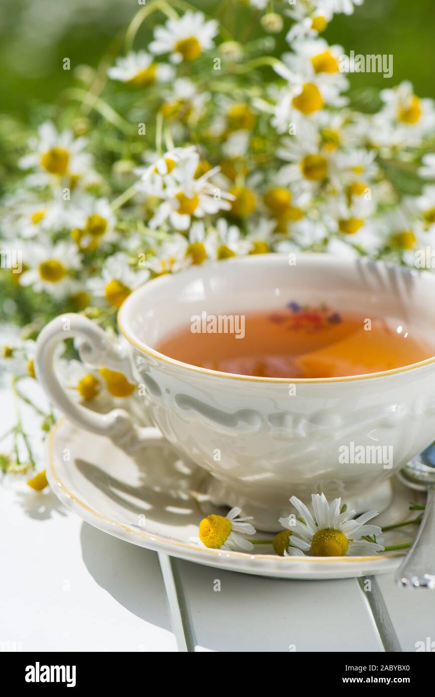 Chamomile flower tea with fresh chamomile Stock Photo - Alamy