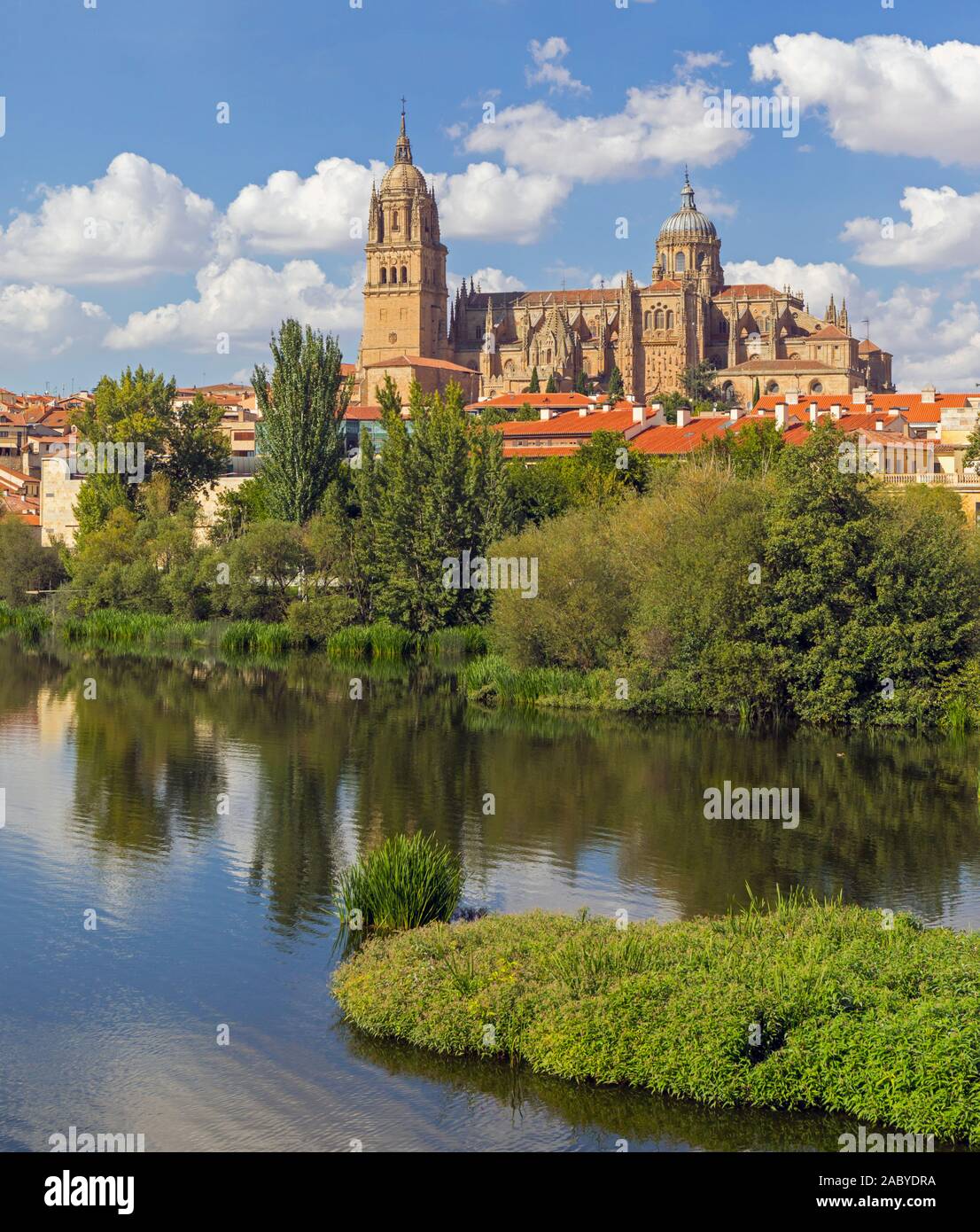 Nueva catedral nueva hi-res stock photography and images - Alamy