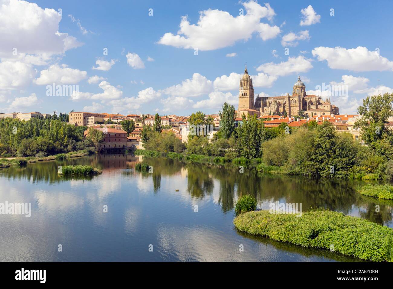 Nueva catedral nueva hi-res stock photography and images - Alamy