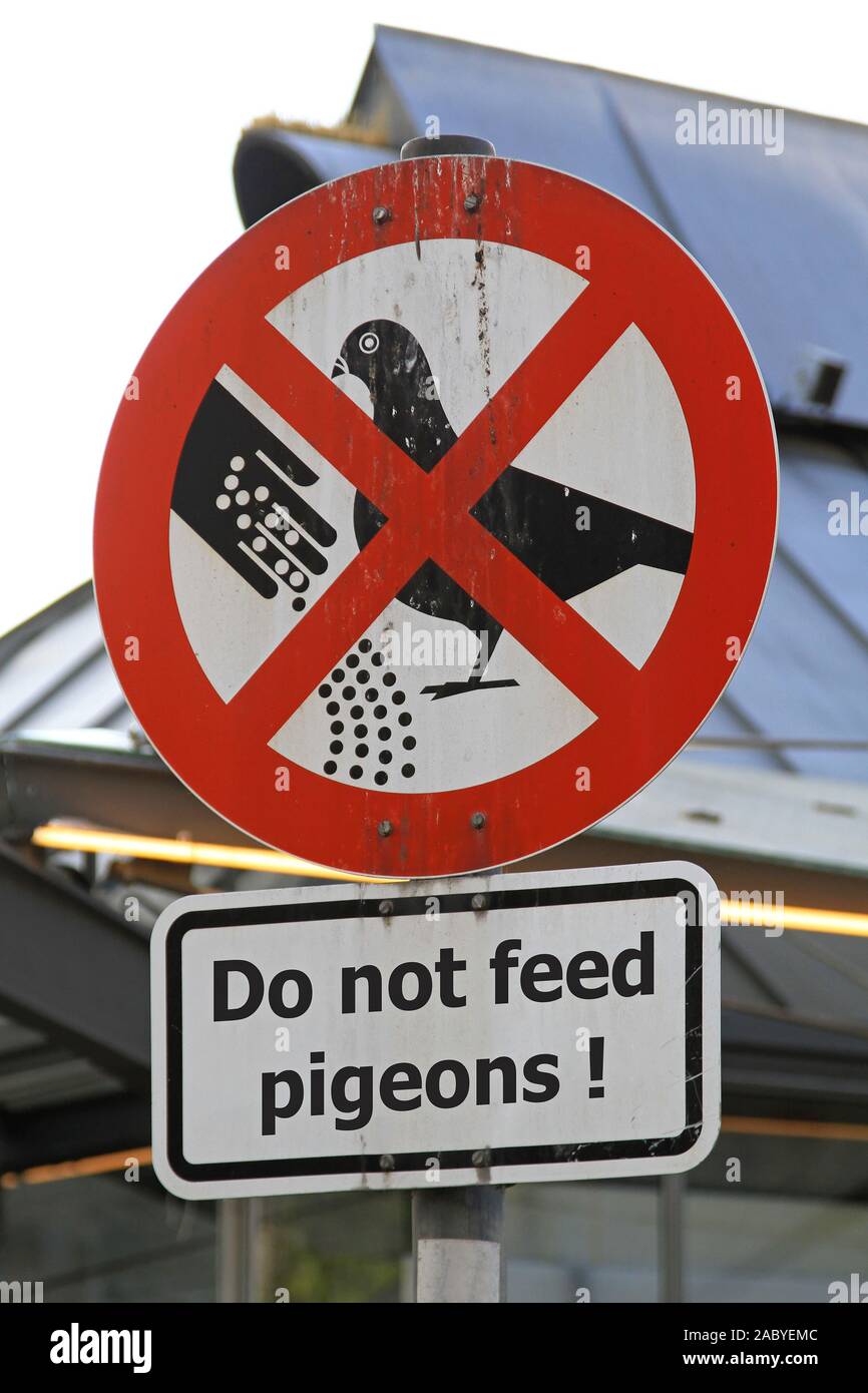 Do not feed the pigeons sign with droppings Stock Photo - Alamy