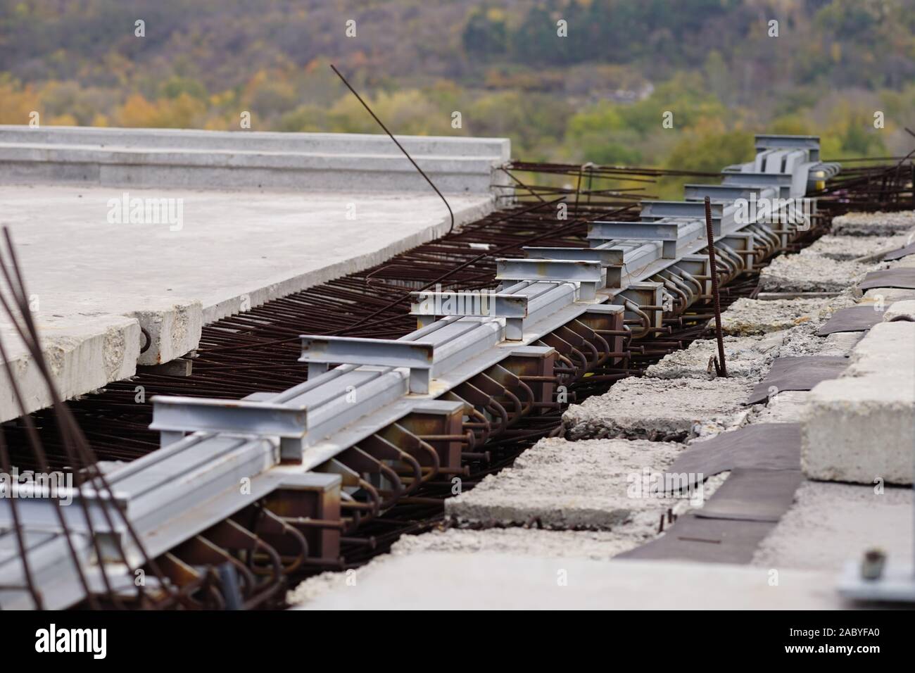 reinforcing bars in the reinforced concrete structure of the bridge ...