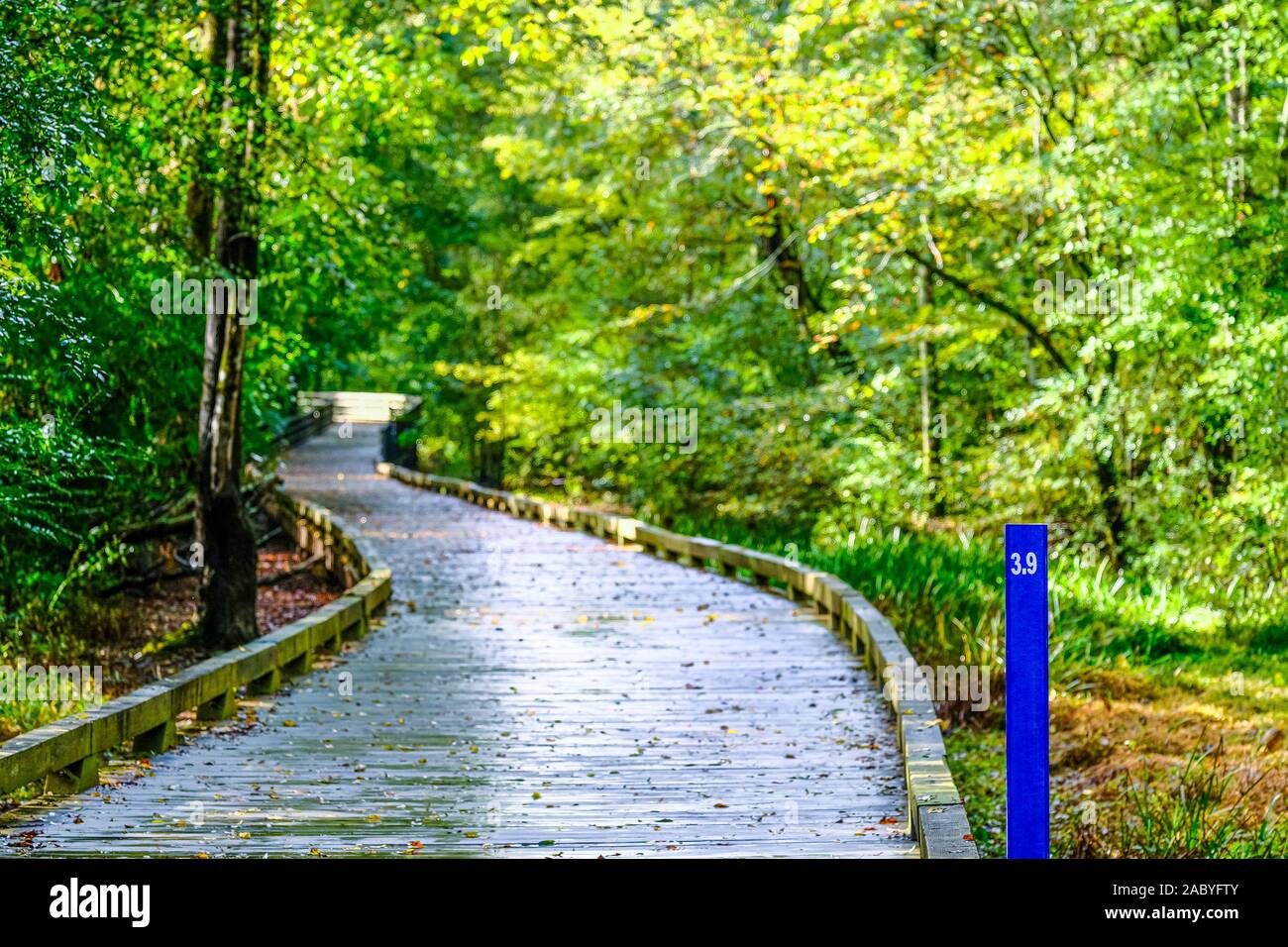 3.9 Mile Marker on Wet Trail Through the Forest Stock Photo - Alamy