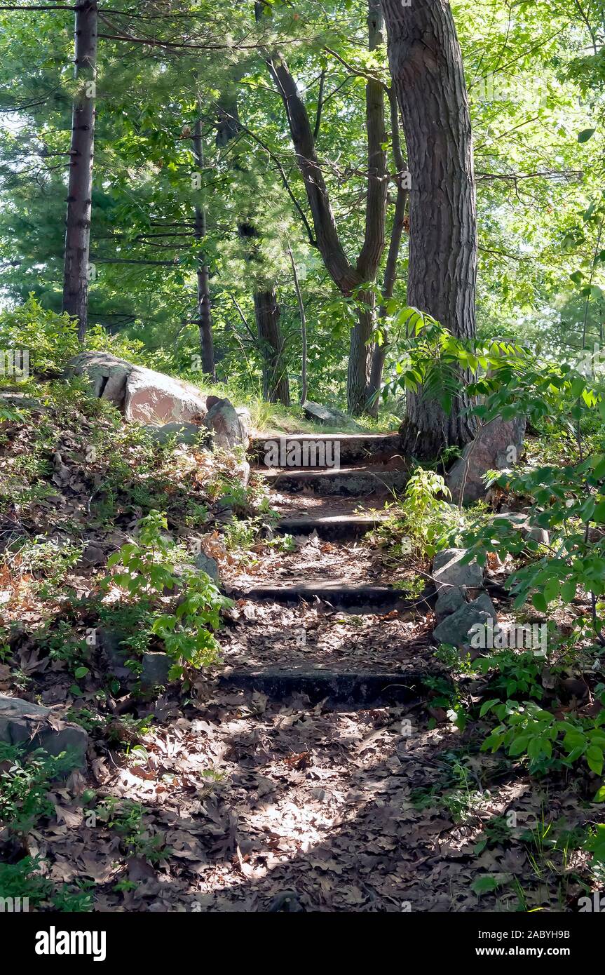 Set of steps hi-res stock photography and images - Alamy