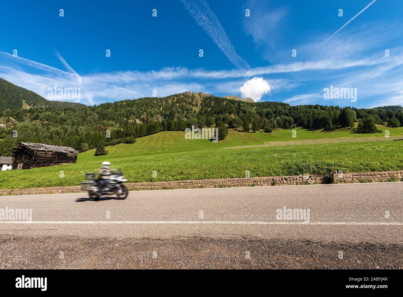 Green meadows and woods in mountain with a biker, Viezzena peak. Val di ...