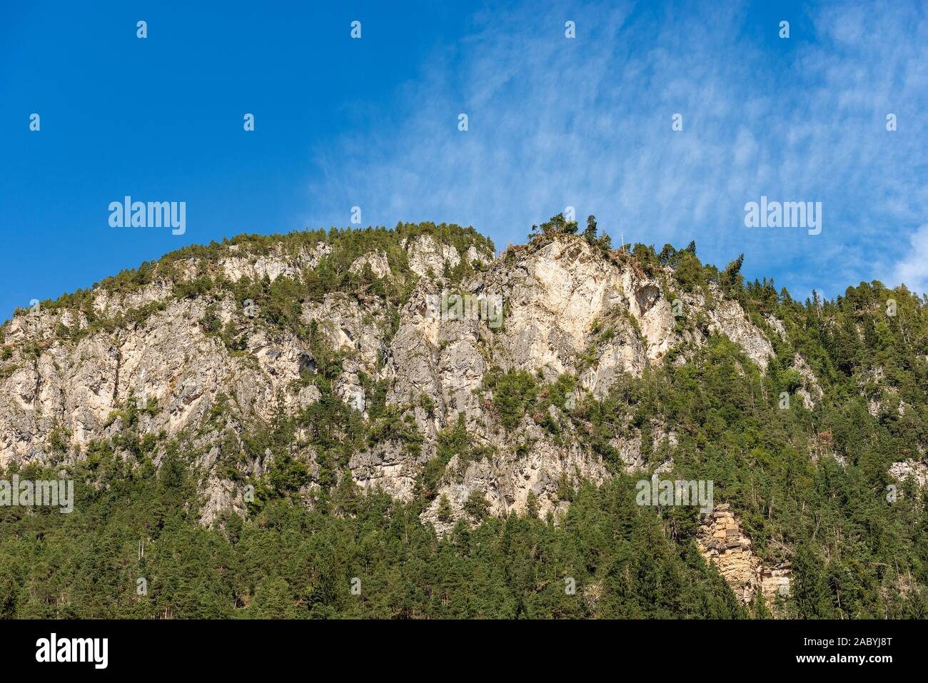 Italian Alps, mountain with green pine forest and rocky walls, Val di ...