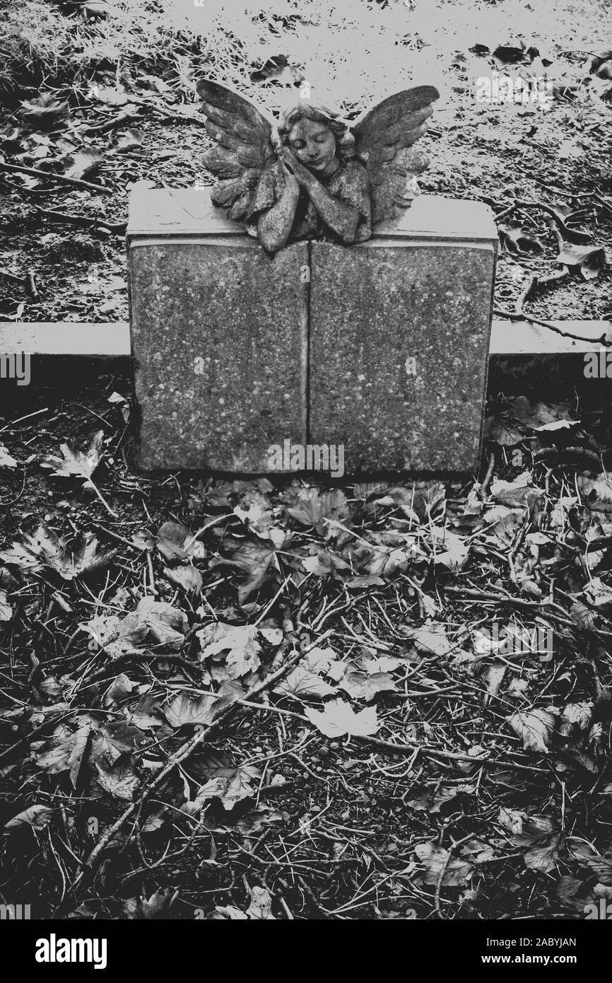 Carved stone cherub hi-res stock photography and images - Alamy