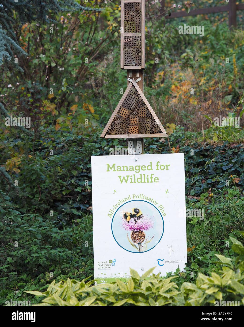 Insect hotel plan hi-res stock photography and images - Alamy