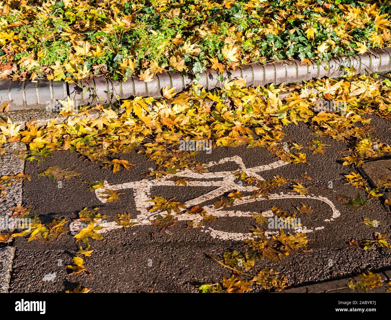 Cycle Lane, With Autumn Leaves, Reading, Berkshire, England, UK, GB ...