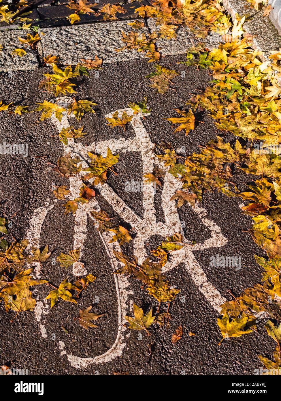 Cycle Lane, With Autumn Leaves, Reading, Berkshire, England, UK, GB ...