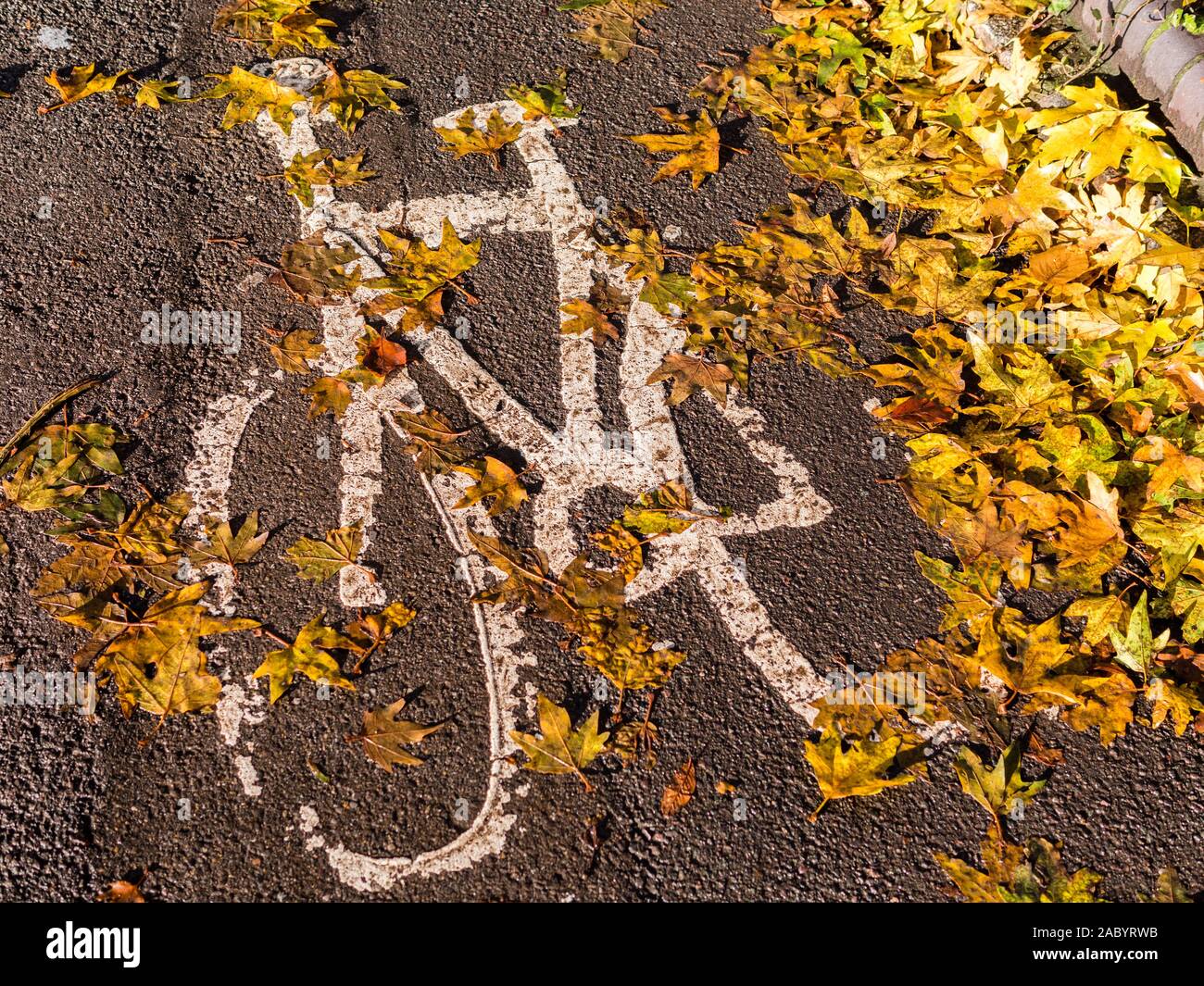 Cycle Lane, With Autumn Leaves, Reading, Berkshire, England, UK, GB ...