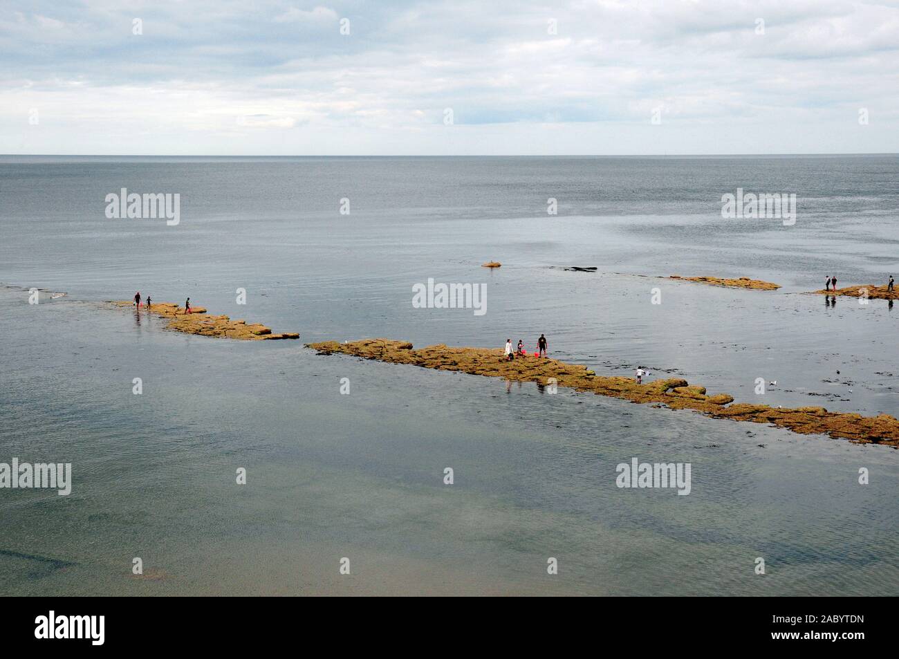 People exploring rock pools, Robin Hood's Bay Stock Photo - Alamy