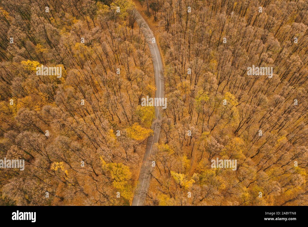 Aerial landscape view autumn forest hi-res stock photography and images - Alamy