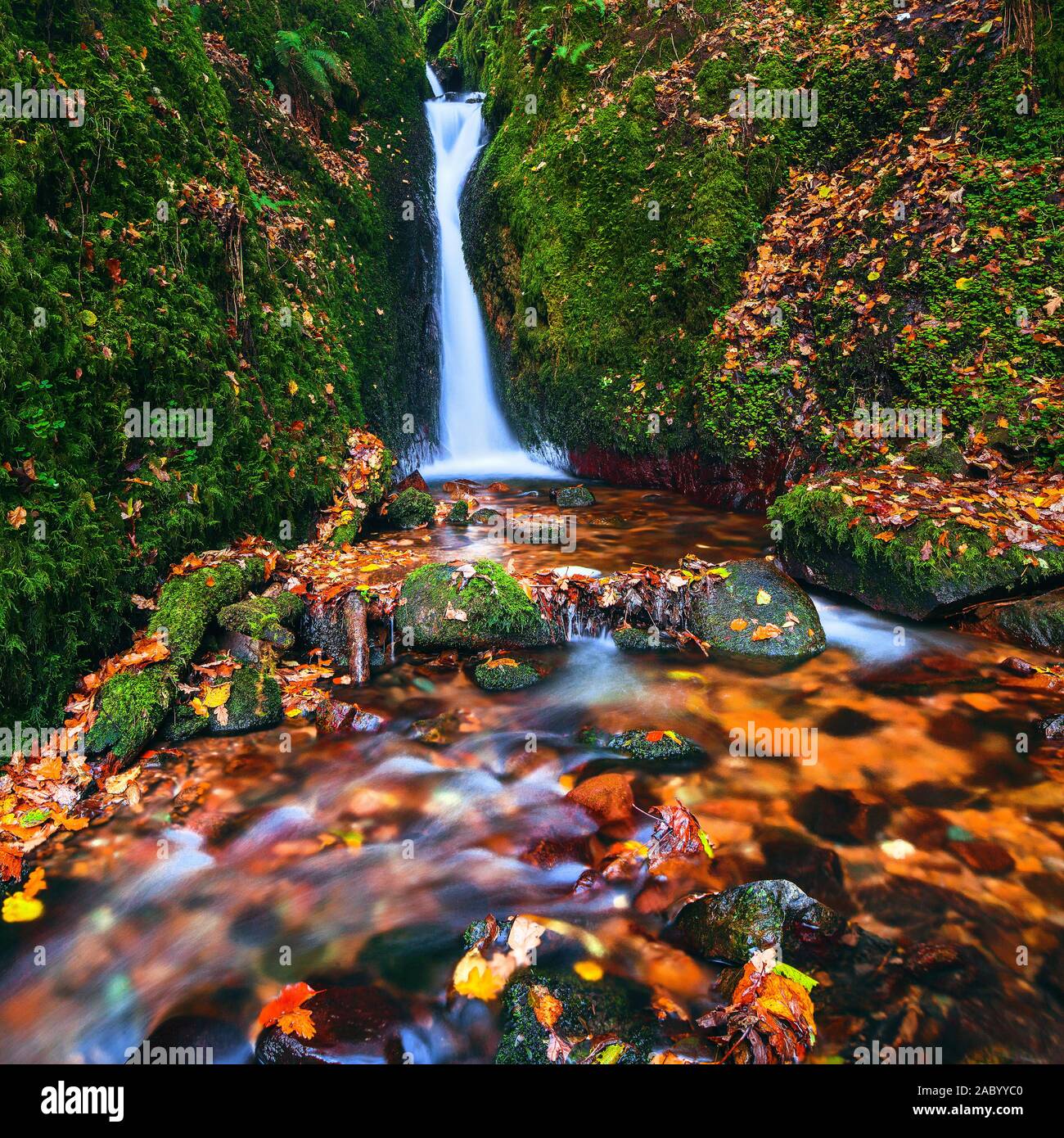 Dollar Glen waterfall, not far from Edinburgh but it feels like being ...