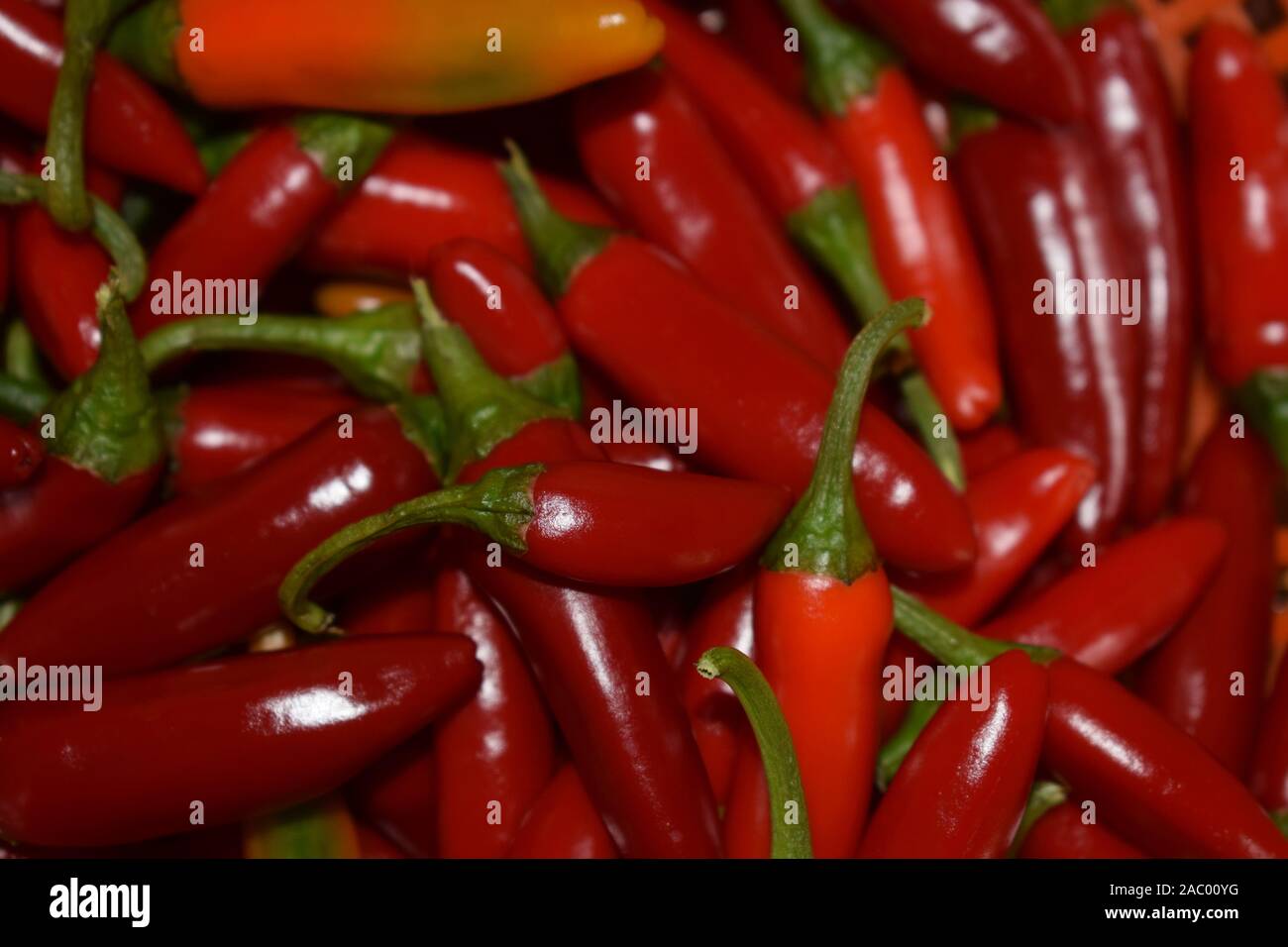 Piri piri chilis hi-res stock photography and images - Alamy