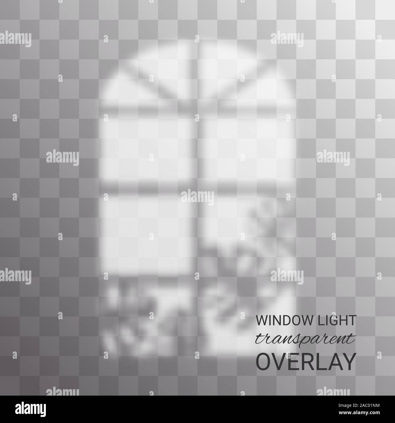 Realistic shadow overlay. Window light with shadow texture of tropical ...