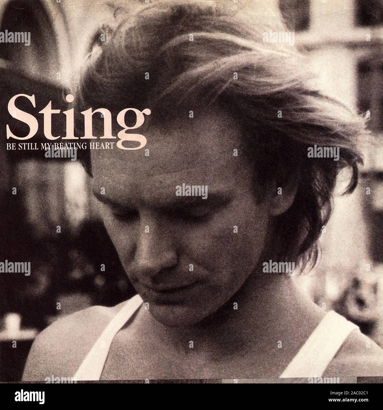 Sting Album