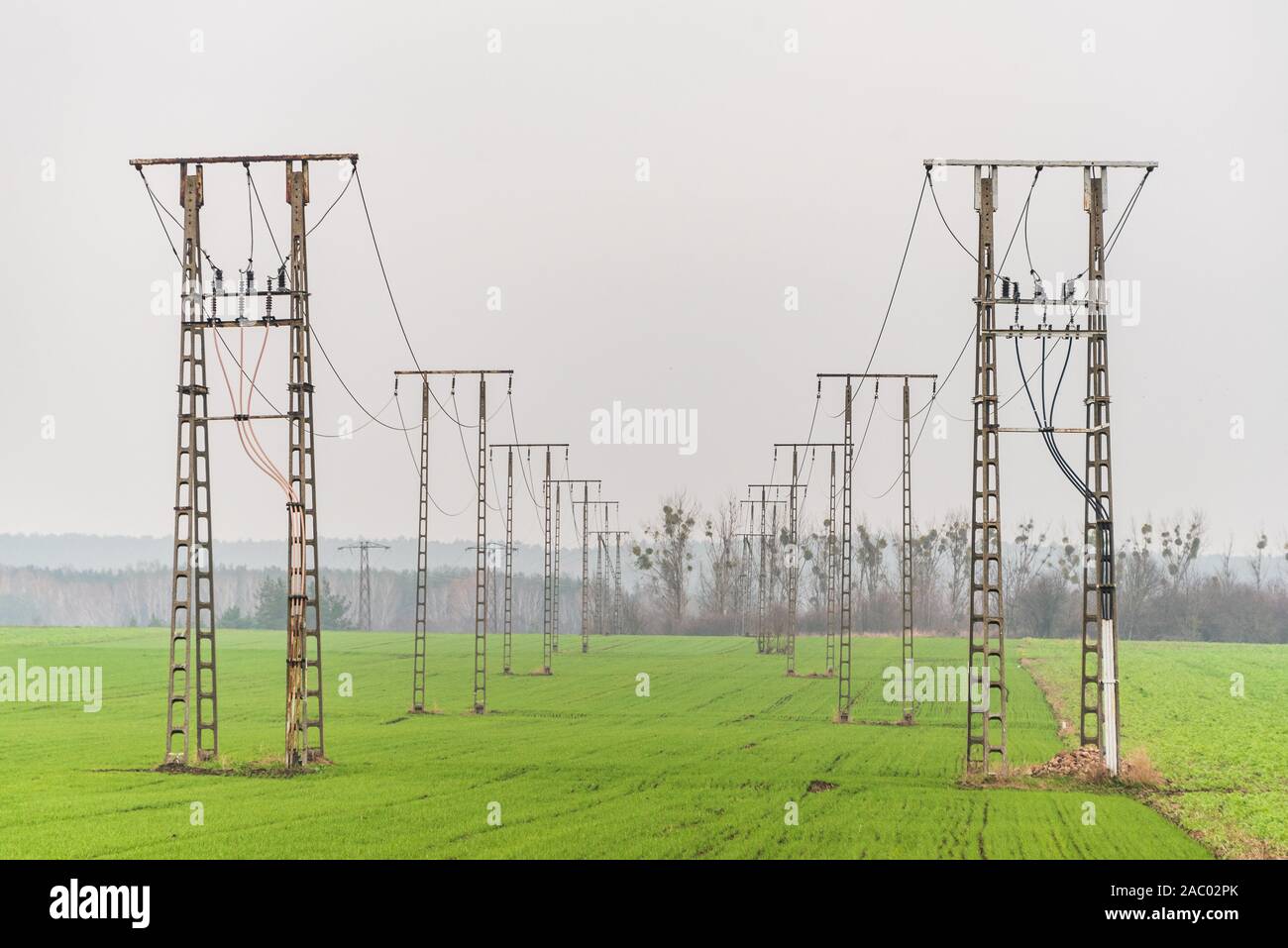 Electricity distribution system. Two-track high voltage overhead power ...
