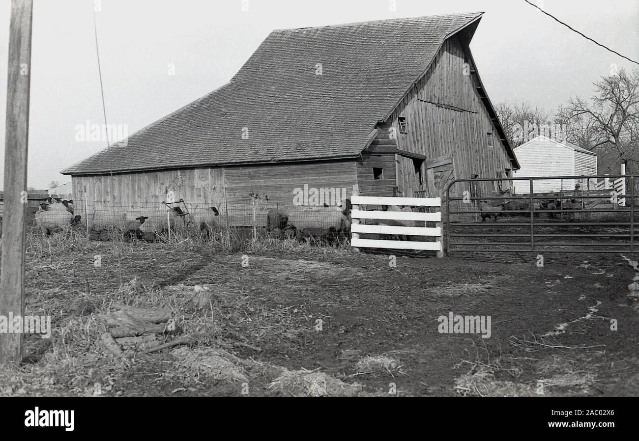 1980s, historical, traditional farm hay barn, Mid-West America. Known ...