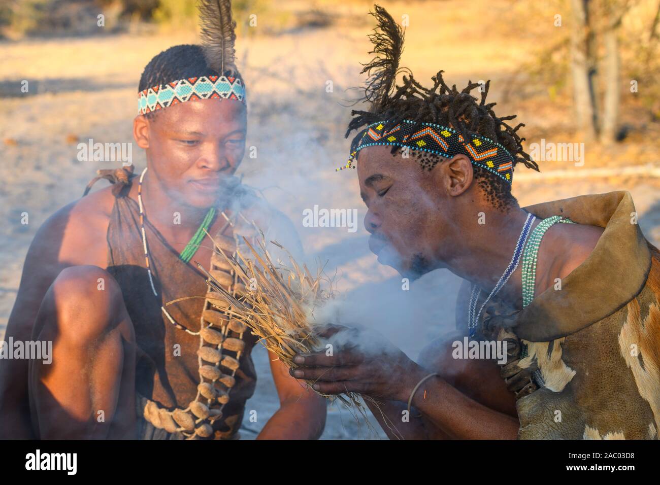San Bushmen showing how to light a fire, Kalahari, Botswana Stock Photo ...