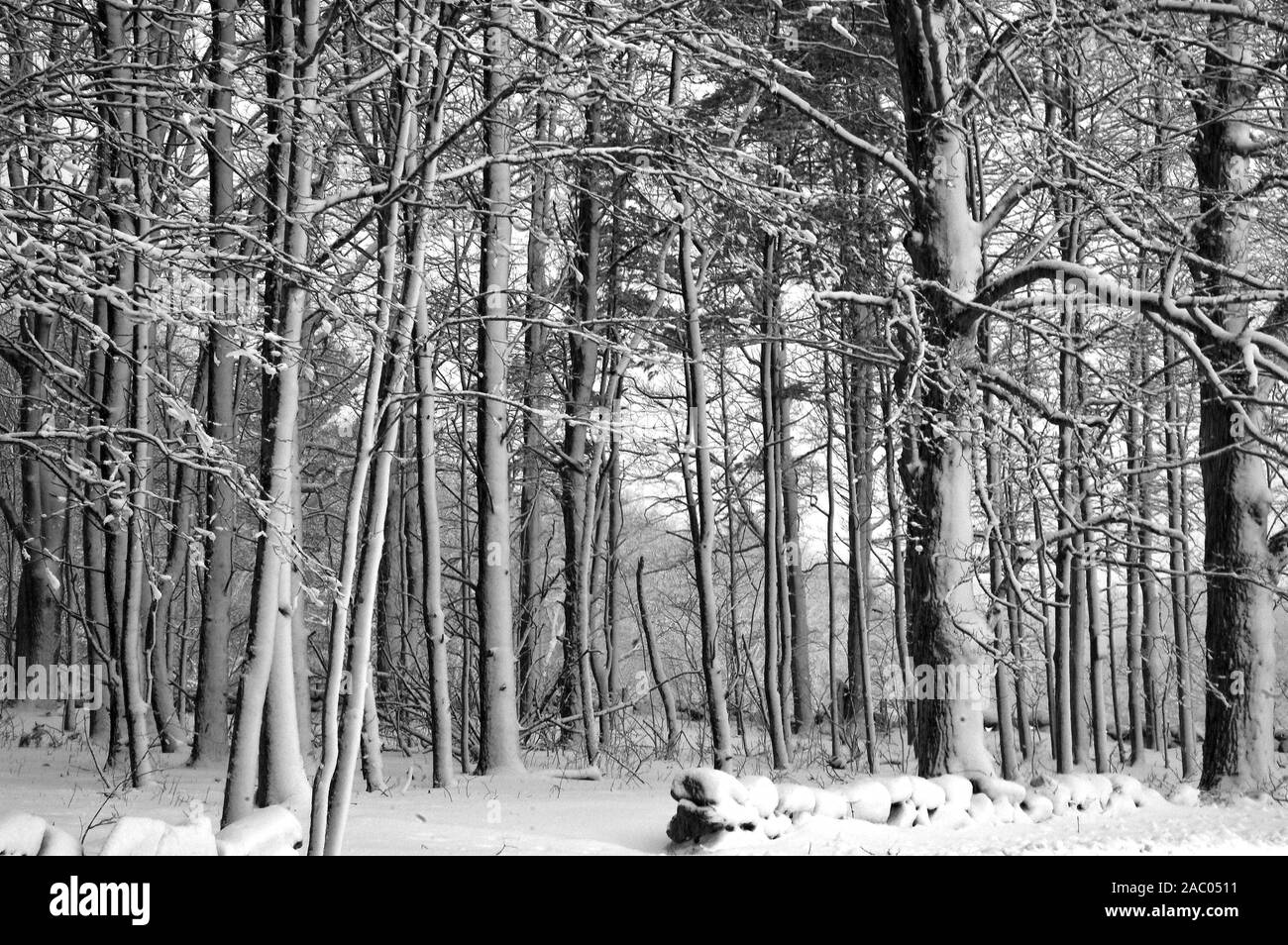 Pretty views Black and White Stock Photos & Images - Alamy